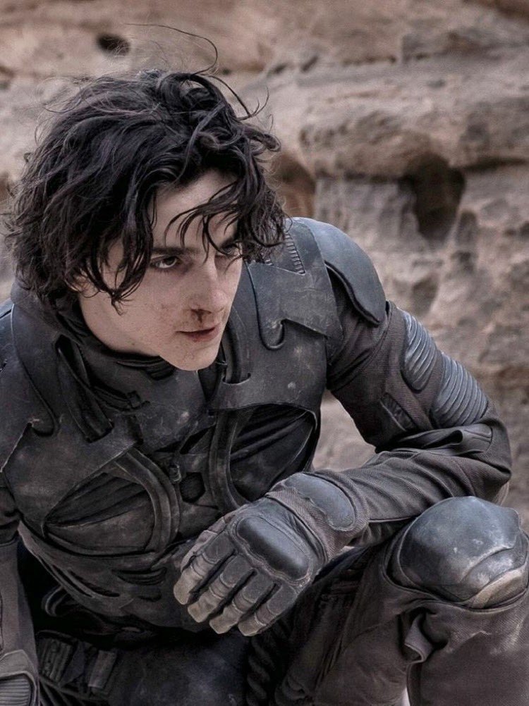 [잡담] 어제 티비로 듄을 보는데 티모시 얼굴이 - 인스티즈(instiz) 카테고리