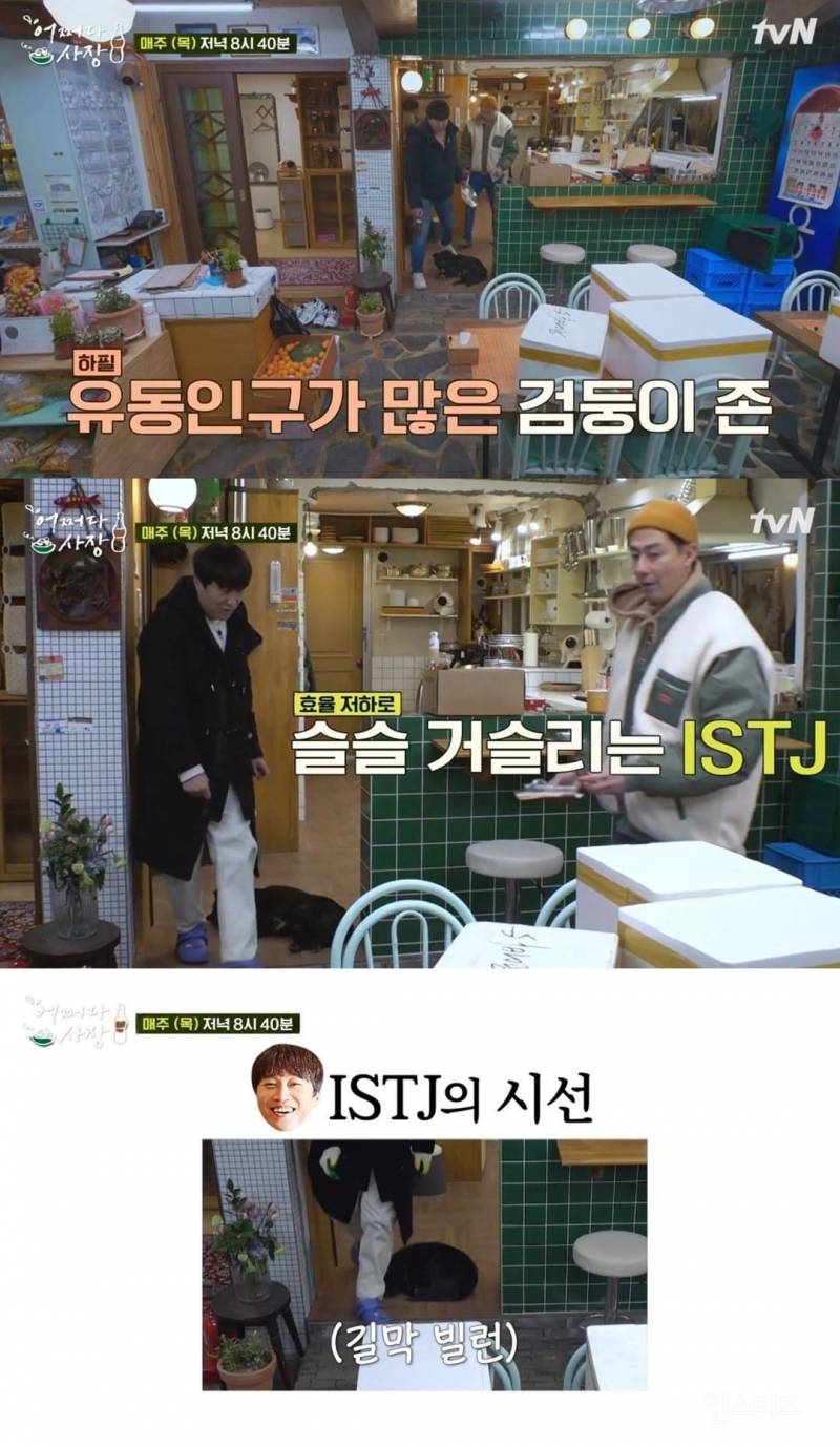 조인성과 차태현으로 보는 MBTI ST유형과 NF유형의 차이 - 인스티즈(instiz) 이슈 카테고리