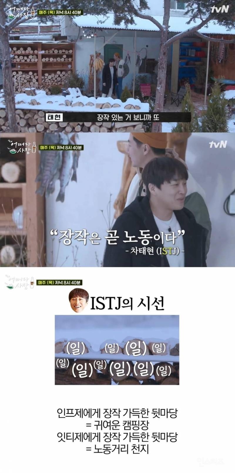 조인성과 차태현으로 보는 MBTI ST유형과 NF유형의 차이 - 인스티즈(instiz) 이슈 카테고리