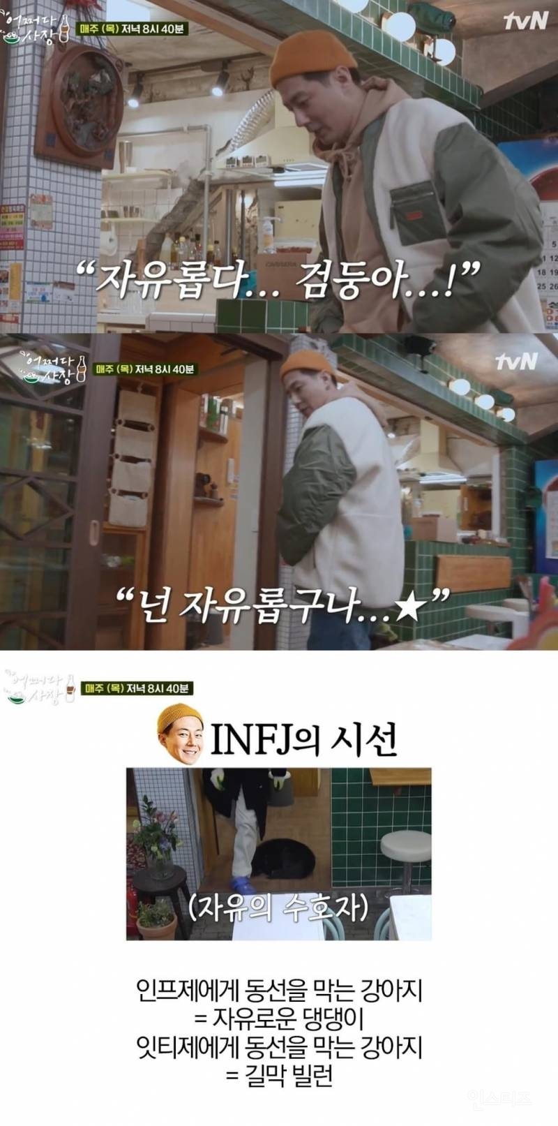 조인성과 차태현으로 보는 MBTI ST유형과 NF유형의 차이 - 인스티즈(instiz) 이슈 카테고리