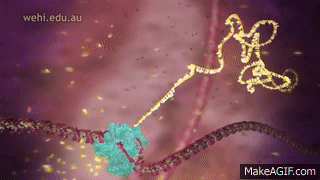 우리 몸안에서 일어나는 신기한 현상 - 인스티즈(instiz) 인티포털