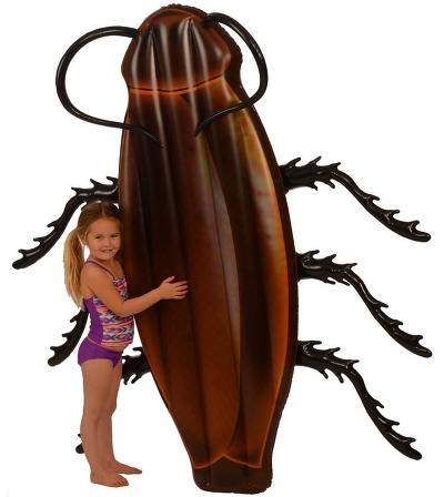 300만원주면 이 본문에 있는 수영복입고 튜브타고 수영장이나 바다에서 놀 수 있어? (혐오주의) - 인스티즈(instiz) 익명 ...