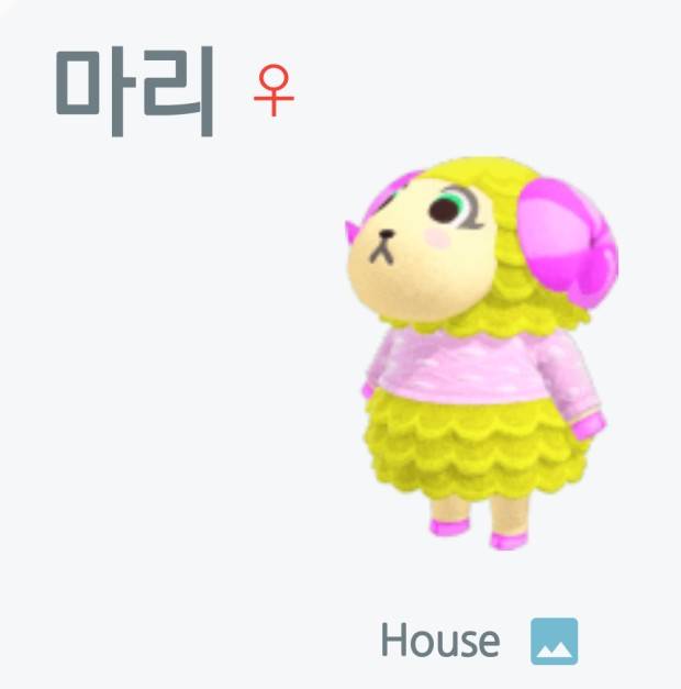 동숲 캐릭터 둘중에 하나만 골라주라 11111222223333 - 인스티즈(instiz) 일상 카테고리