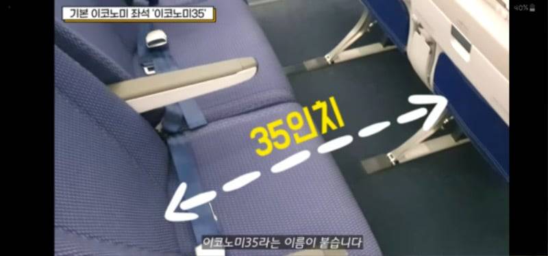 현재 평 좋은 떡상 중인 국내 신생 항공사.jpg - 인스티즈(instiz) 이슈 카테고리