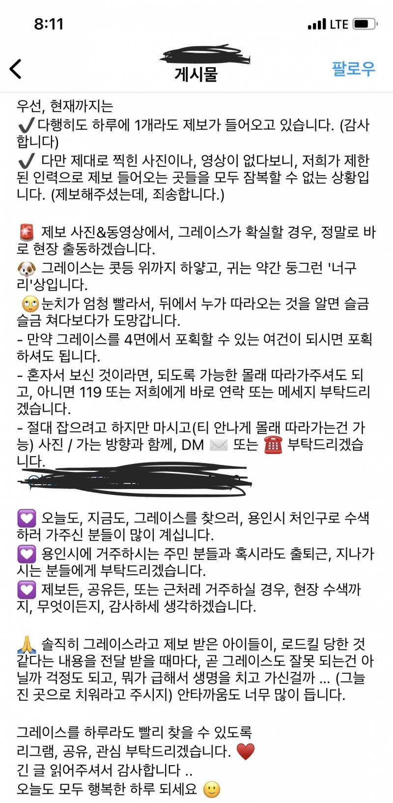 강아지 찾는데 119 불러도돼?? - 인스티즈(instiz) 일상 카테고리