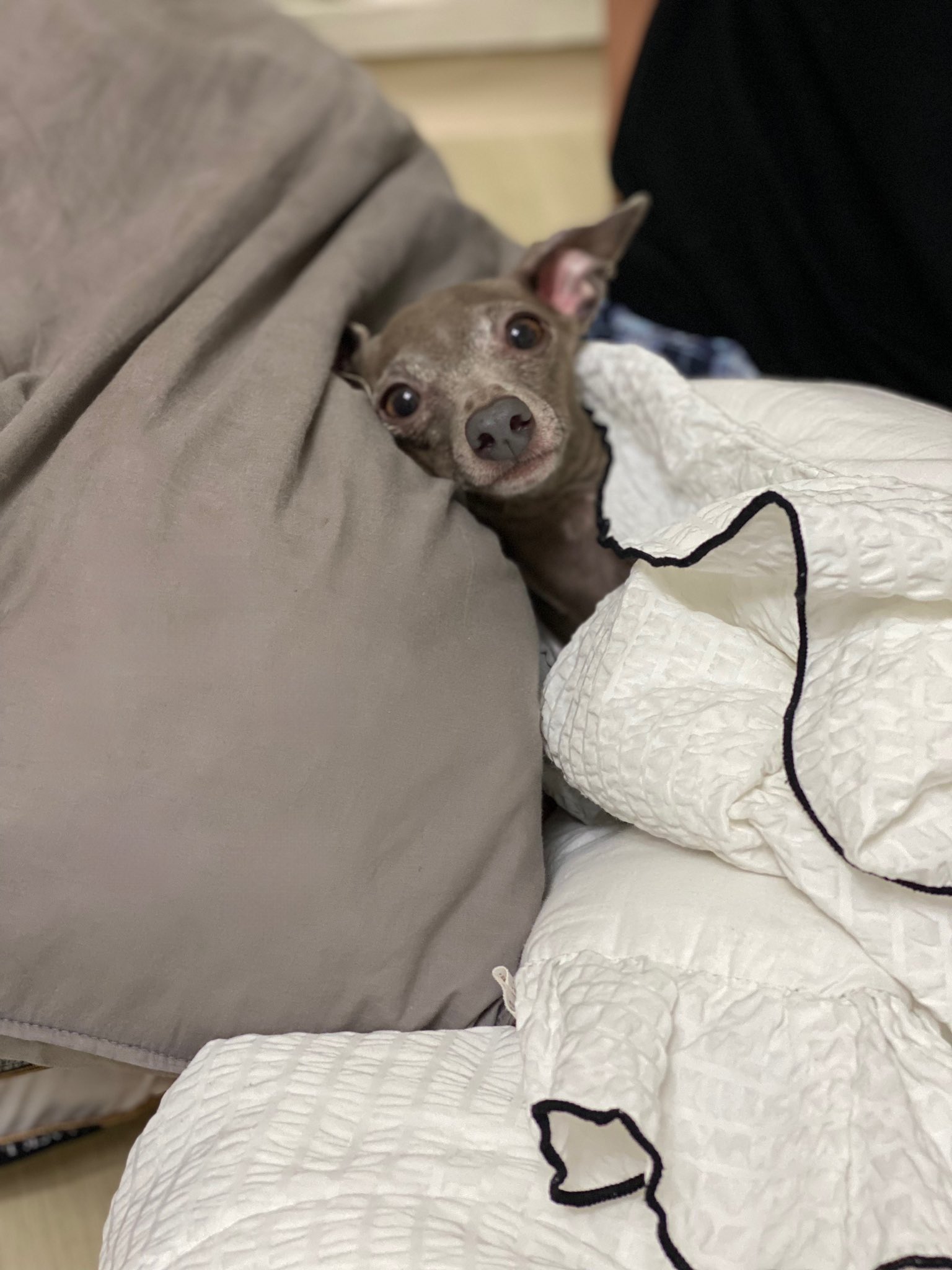 [잡담] 아니 규빈이네 음빠빠 진짜 너무 스타성 오지게 생김ㅋㅋㅋ ㅠㅠㅠㅠ - 인스티즈(instiz) 연예 카테고리