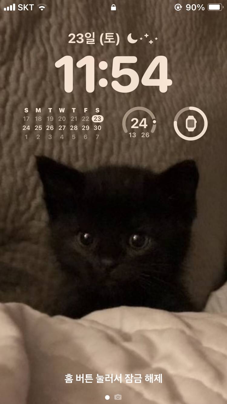 [정보/소식] 공익을 위해! 아이폰 소소한 폰꾸 정보 가져왔다 (ios 17 기준) - 인스티즈(instiz) 일상 카테고리