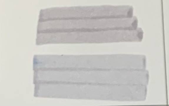 [잡담] 무슨 색이 더 이뻐?? - 인스티즈(instiz) 일상 카테고리