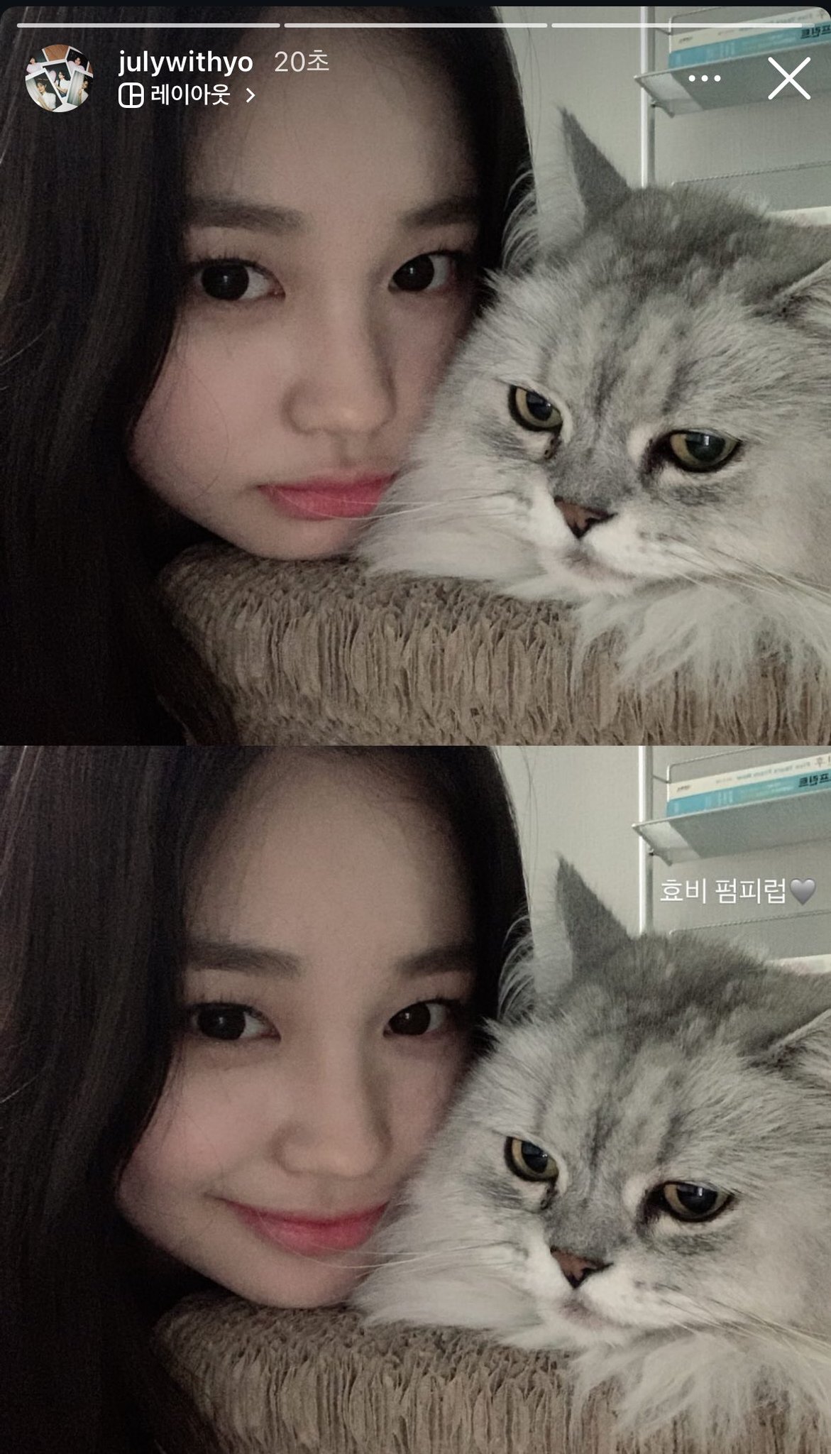 [잡담] 위클리 지한 너무예뻐 - 인스티즈(instiz) 연예 카테고리