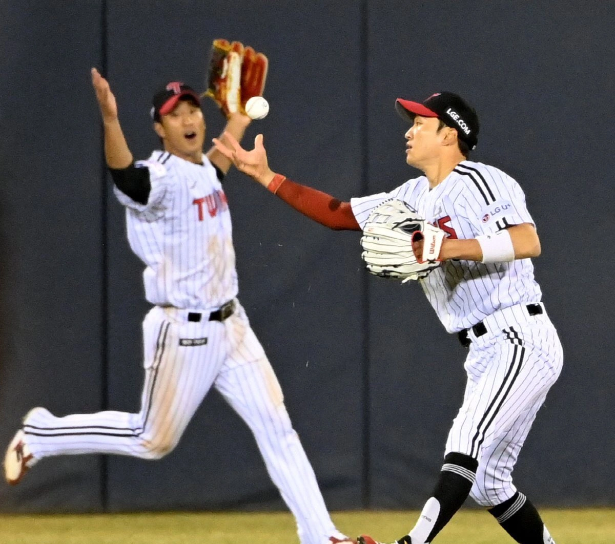 [잡담] 뜡이들 우리 댓꾸 사진 이거할까? - 인스티즈(instiz) LG 카테고리