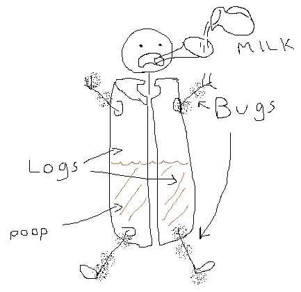 소름끼치거나 신비돋는 실화 5개.wiki - 인스티즈(instiz) 인티포털 카테고리