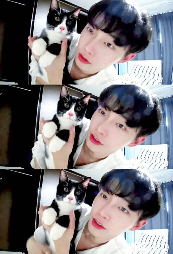 JBJ 김용국이 키우는 고양이 톨비 르시 - 인스티즈(instiz) 이슈 카테고리