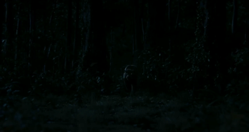 실사와 구분안가는 디즈니 CG수준.gif - 인스티즈(instiz) 이슈 카테고리