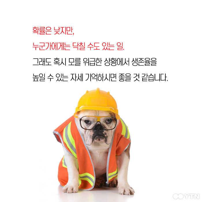 엘리베이터에서 추락할때.alaboza - 인스티즈(instiz) 이슈 카테고리