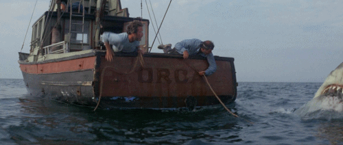 바다가 배경인 영화들 - 인스티즈(instiz) 이슈 카테고리