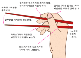 올바른 젓가락질 방법.jpg - 인스티즈(instiz) 이슈 카테고리