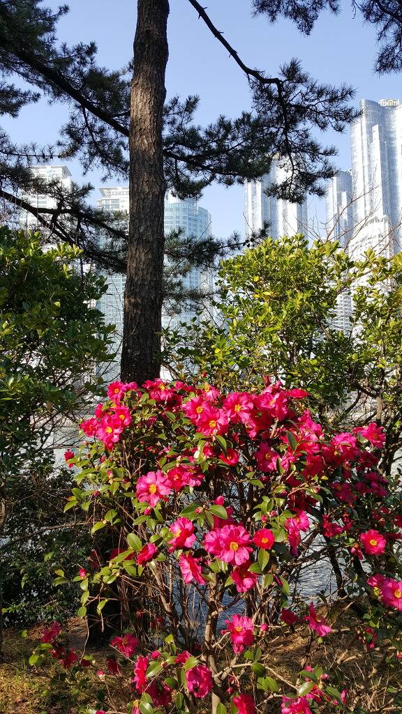 해운대 아이파크 II - 인스티즈(instiz) 이슈 카테고리