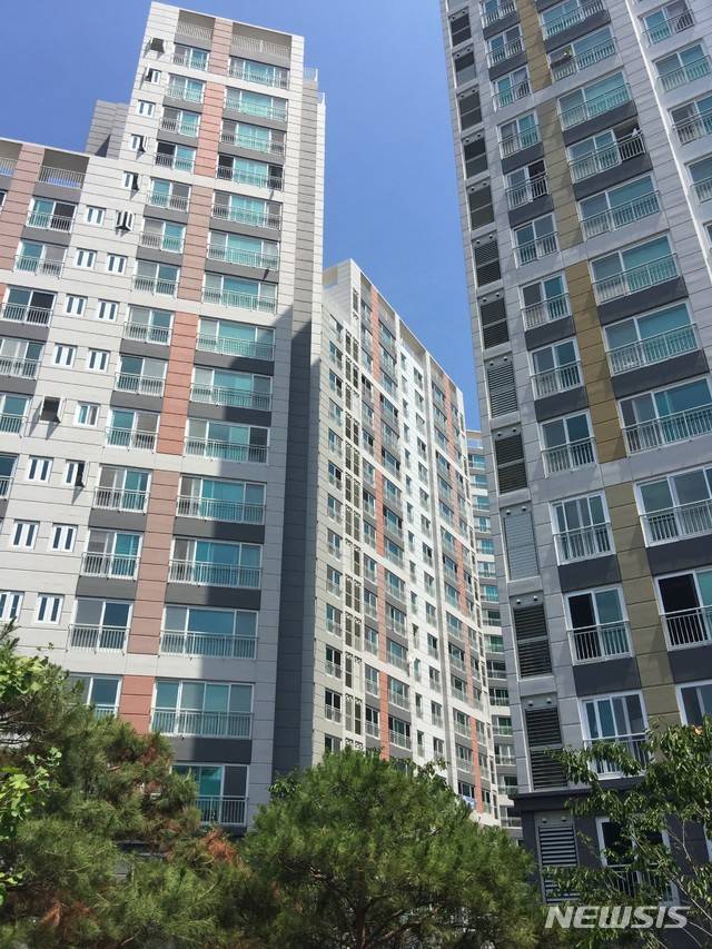 광복절 태극기는 어디에 - 인스티즈(instiz) 이슈 카테고리