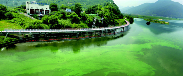 MB시절 기억에 남는 일들은? - 인스티즈(instiz) 이슈 카테고리