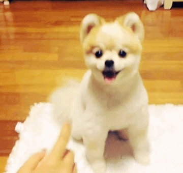 직업만족도 최상이라는 전문직.jpg - 인스티즈(instiz) 이슈 카테고리