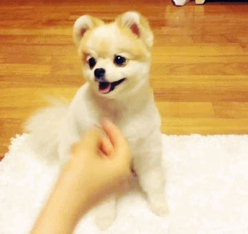 직업만족도 최상이라는 전문직.jpg - 인스티즈(instiz) 이슈 카테고리