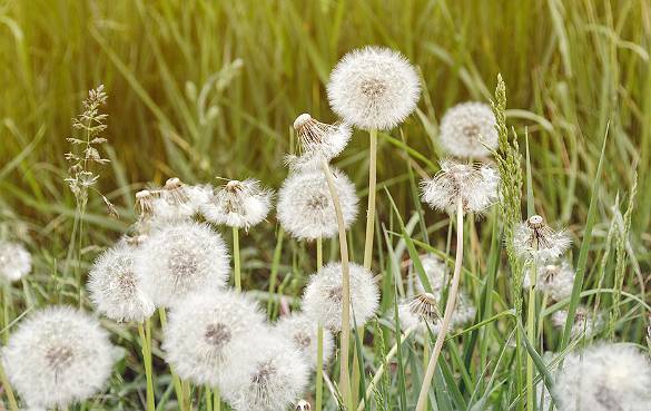 90년대생 학교다닐때 배웠던 소설작품들.jpg - 인스티즈(instiz) 이슈 카테고리