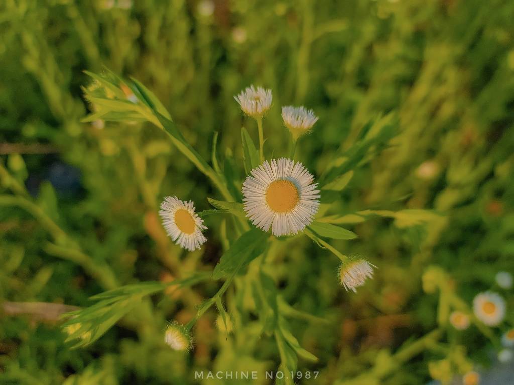 취미로 찍는 일상 스냅_119 - 인스티즈(instiz) 이슈 카테고리