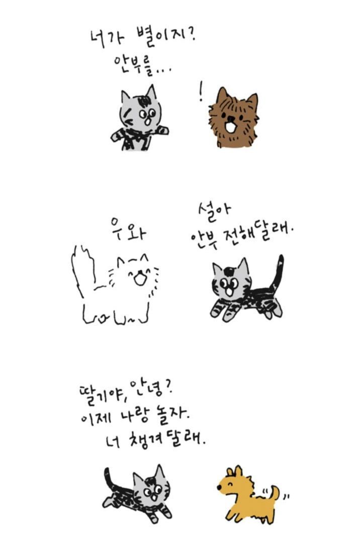 사람이 죽으면 먼저 가있던 반려동물이 마중 나온다는 얘기가 있다 - 인스티즈(instiz) 인티포털 카테고리