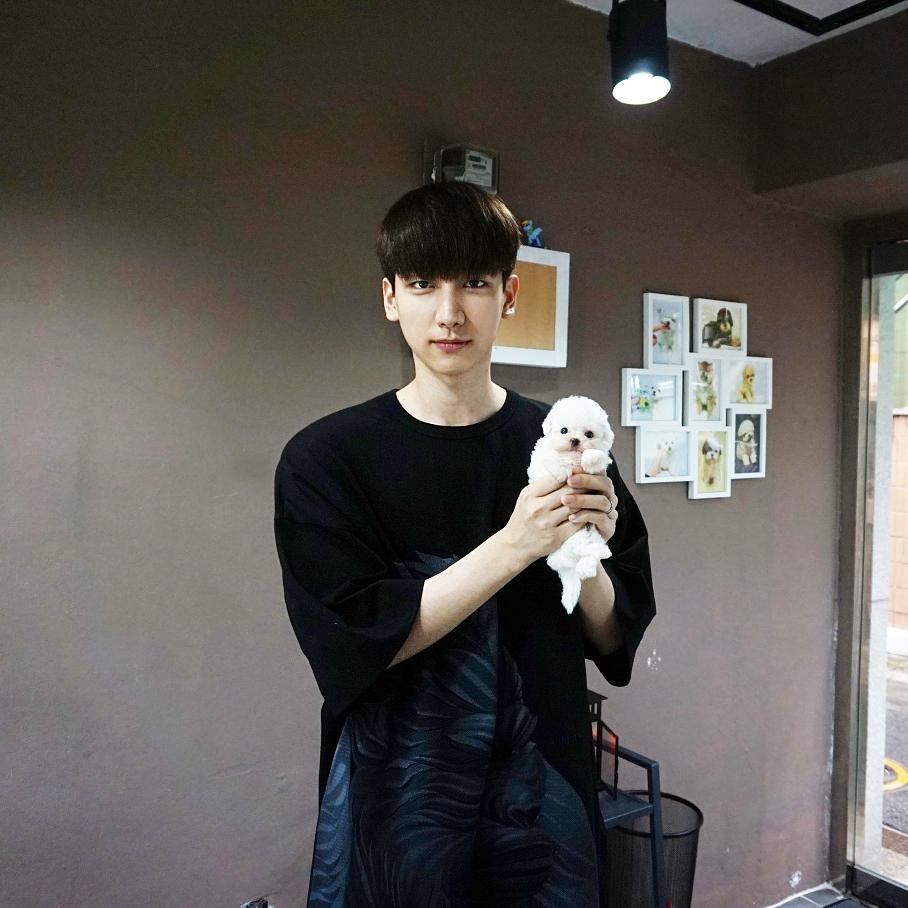 손큰 아이돌들의 손크기(cm)를 알아보았다.jpgif - 인스티즈(instiz) 이슈 카테고리