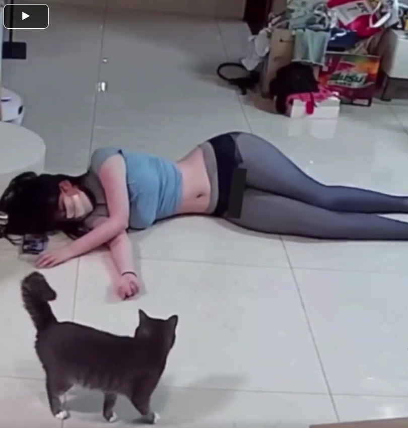 쓰러진 주인.mp4 - 인스티즈(instiz) 이슈 카테고리