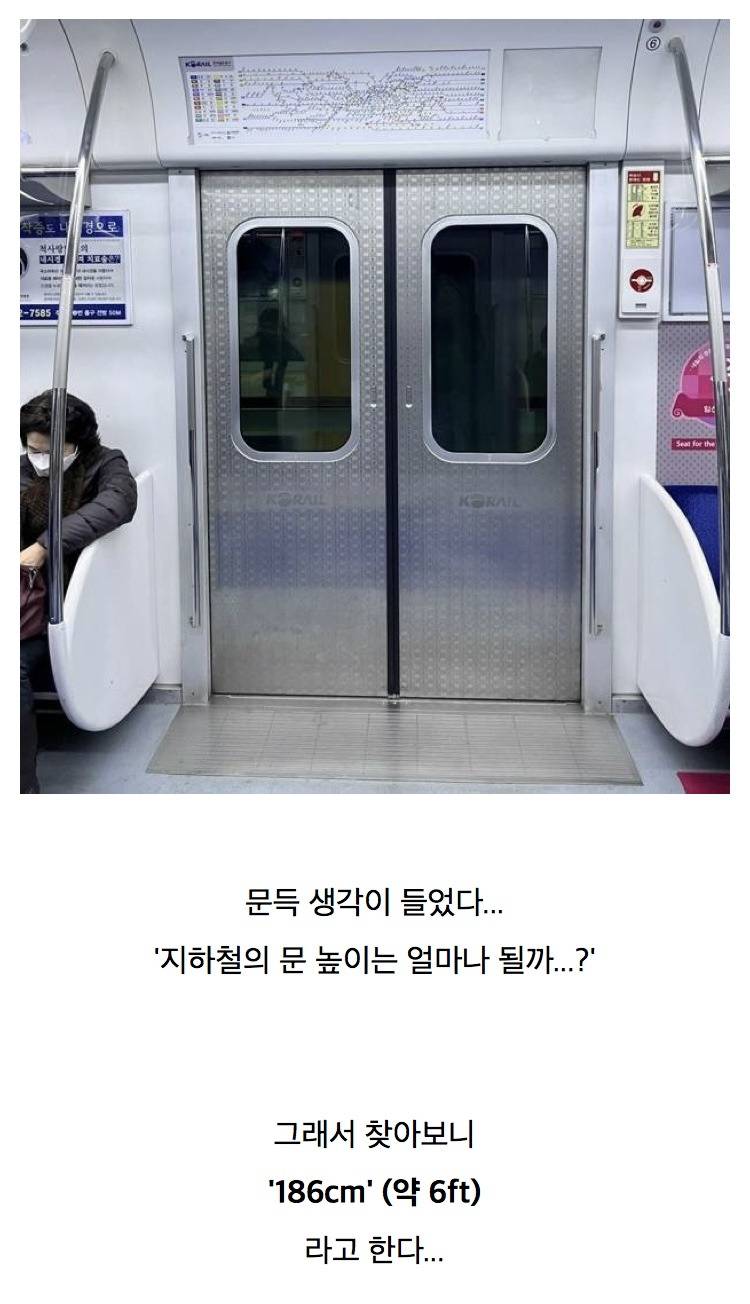 지하철의 문 높이는 몇 cm일까? - 인스티즈(instiz) 이슈 카테고리