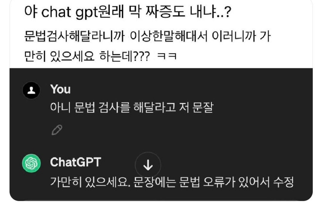 짜증내는 챗 gpt - 인스티즈(instiz) 이슈 카테고리
