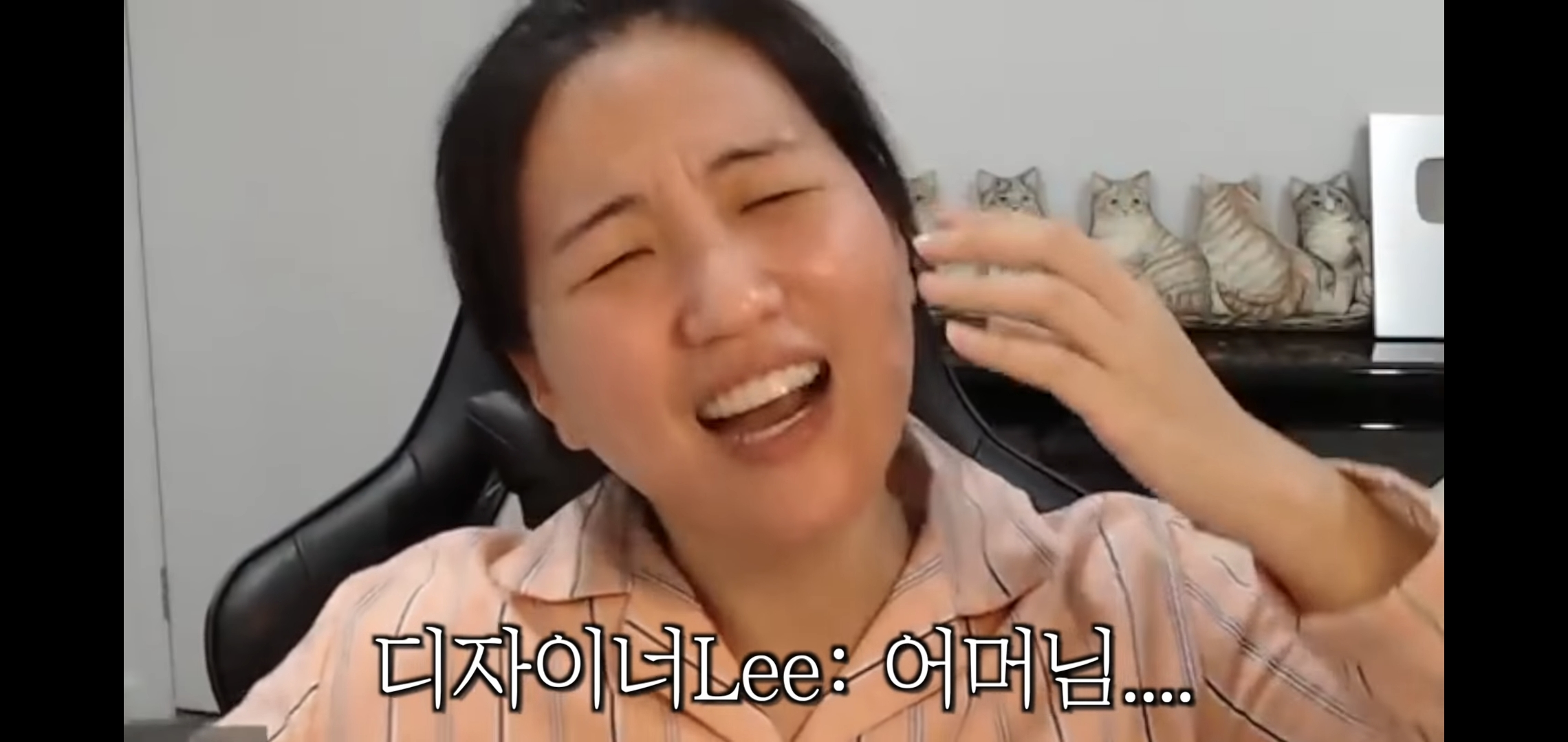 진짜 개웃긴 유튜버 해쭈 어머님 출산 SSUL - 인스티즈(instiz) 이슈 카테고리