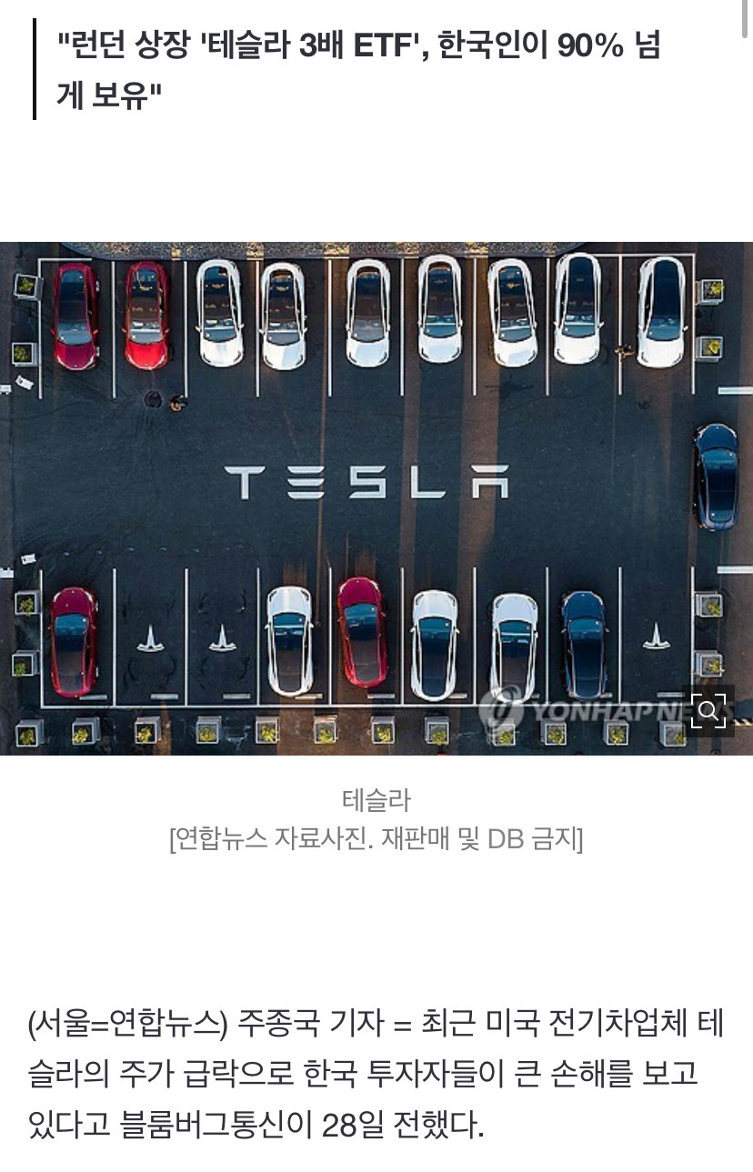 한국인이 사랑한 주식의 배신?…테슬라 레버리지 ETF 80% 급락 - 인스티즈(instiz) 이슈 카테고리