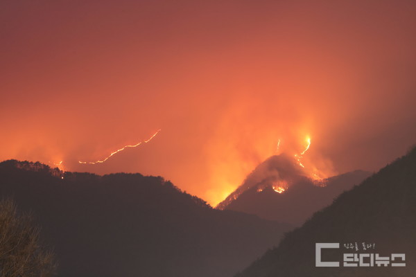 지리산국립공원으로 번진 산불 - 인스티즈(instiz) 이슈 카테고리