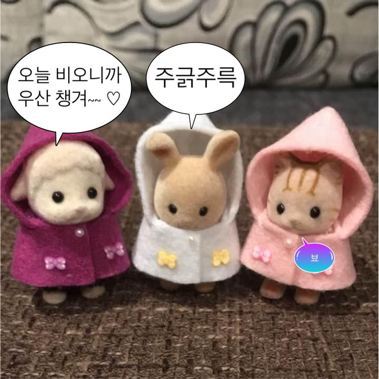 인스티즈(instiz)